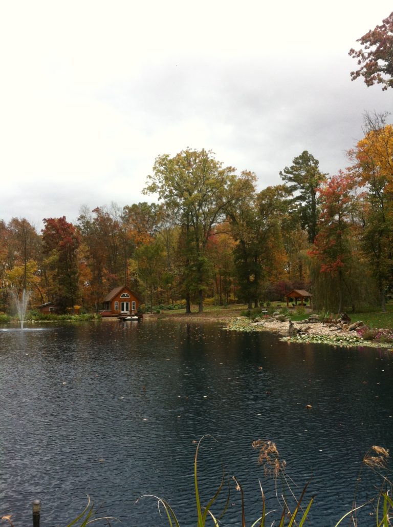 The Woodhaven Cottage: Gallery